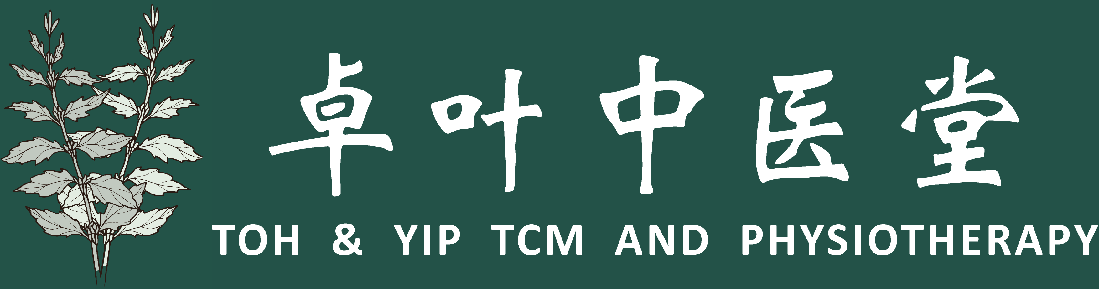 Toh & Yip TCM and Physiotherapy